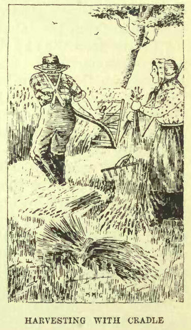 The Pioneers of Old Ontario